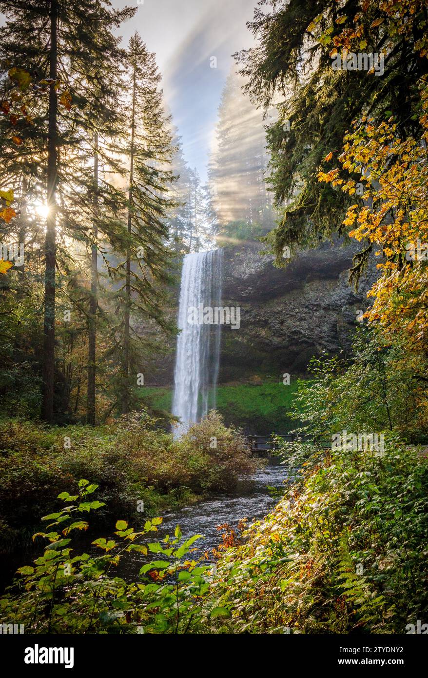South Falls at Silver Falls State Park, the largest state park in ...