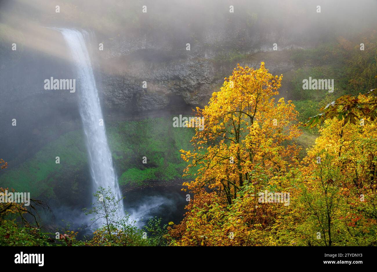 South Falls at Silver Falls State Park, the largest state park in ...