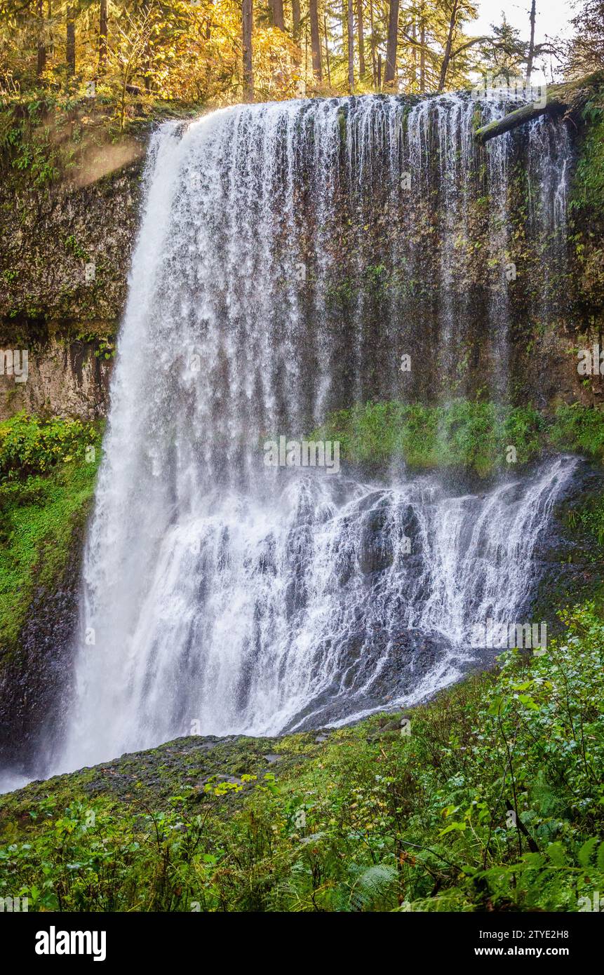 Middle North Falls at Silver Falls State Park, the largest state park ...