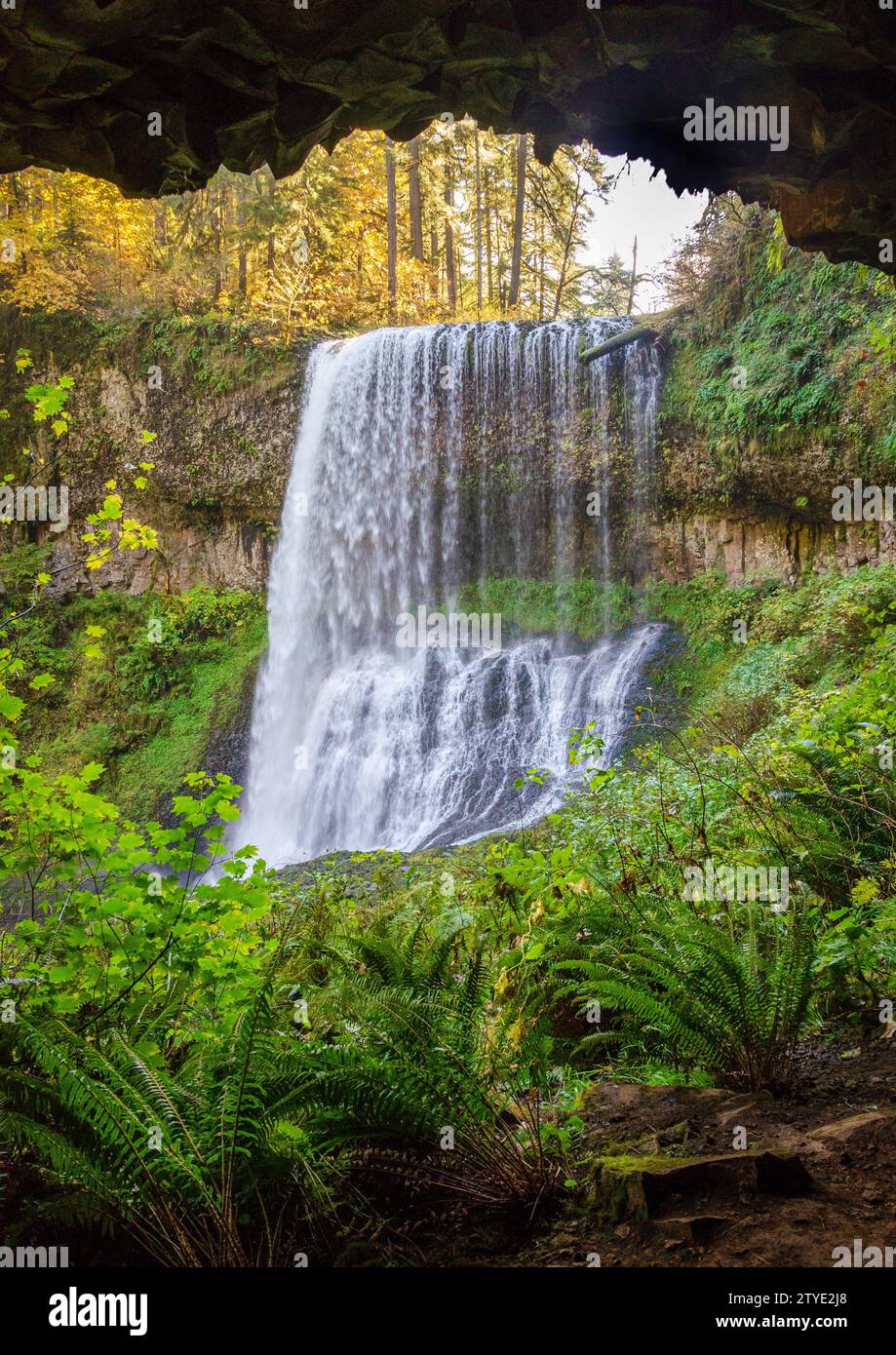 Middle North Falls at Silver Falls State Park, the largest state park ...