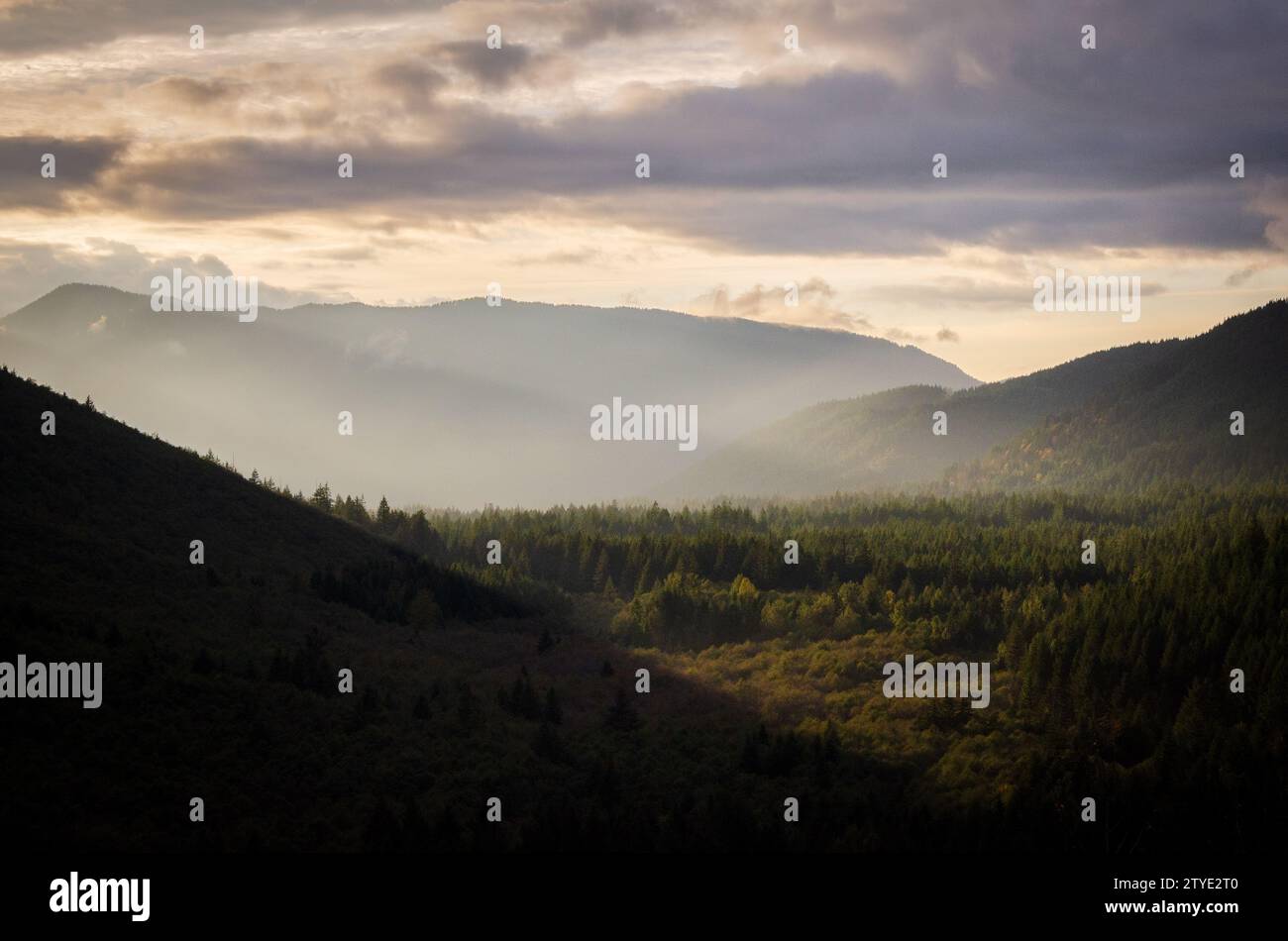Sunset at The Mount Hood National Forest, Oregon Stock Photo - Alamy