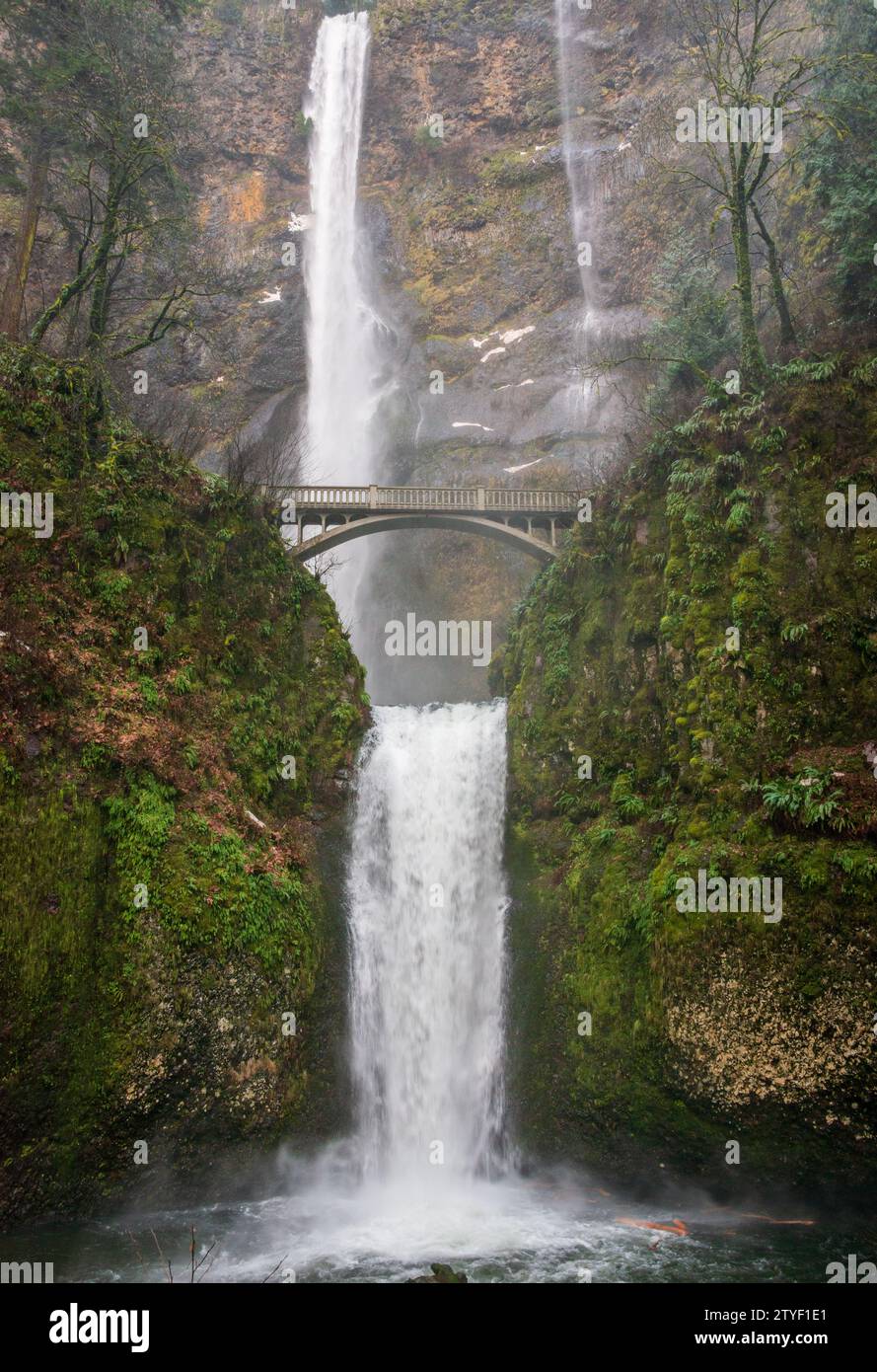 Multnomah Falls at Columbia River Gorge National Scenic Area, Oregon ...