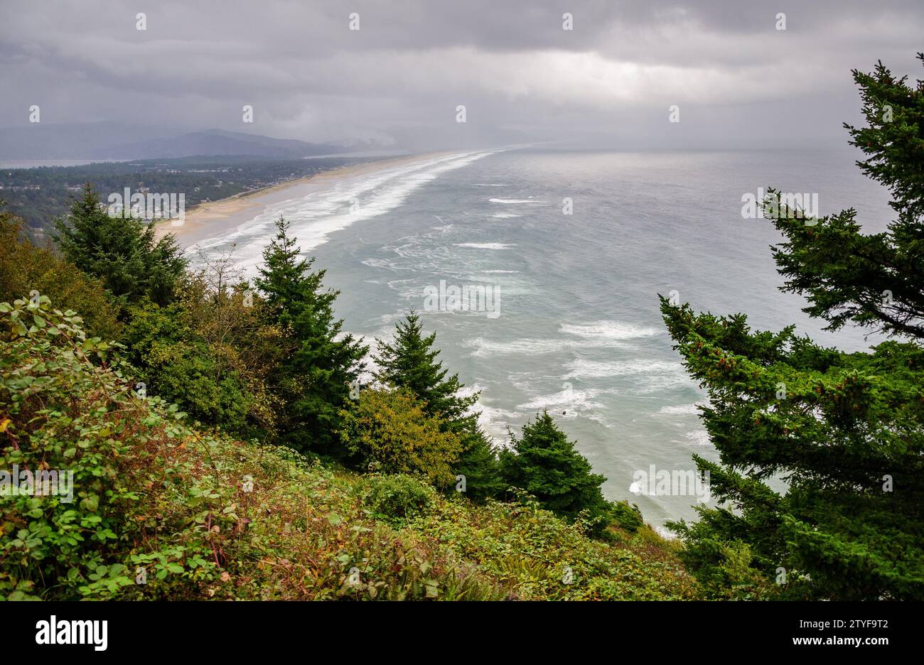The Oswald West State Park in Arch Cape, Oregon Stock Photo - Alamy