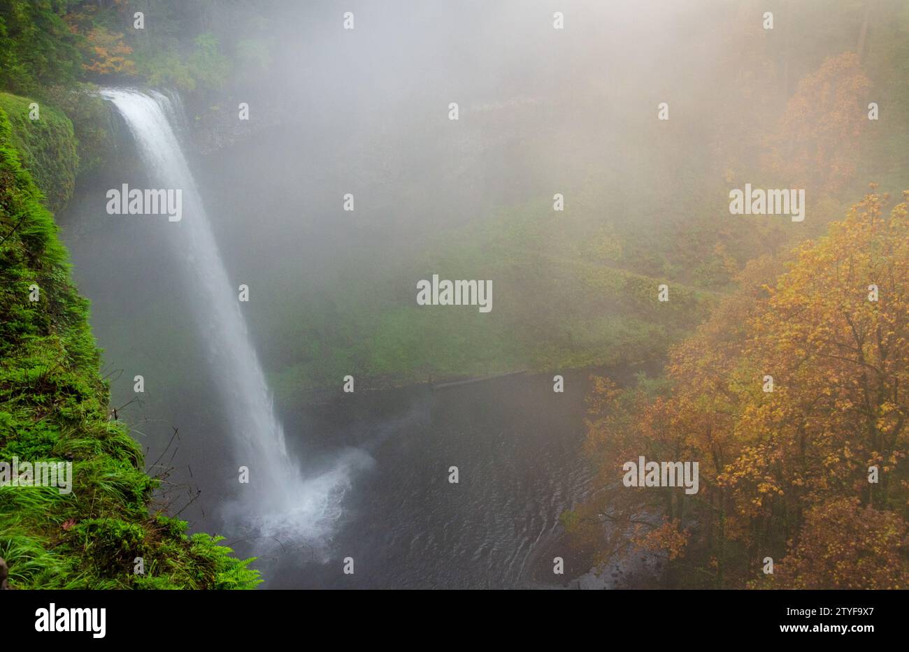 South Falls at Silver Falls State Park, the largest state park in ...