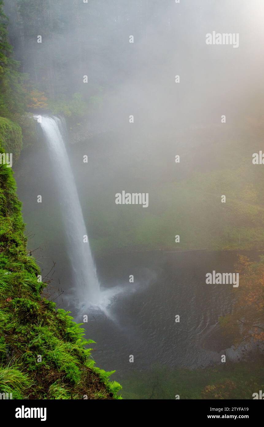 South Falls at Silver Falls State Park, the largest state park in ...