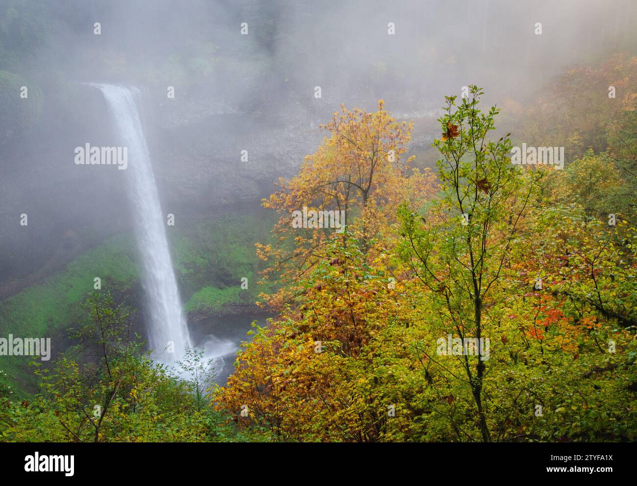 South Falls at Silver Falls State Park, the largest state park in ...