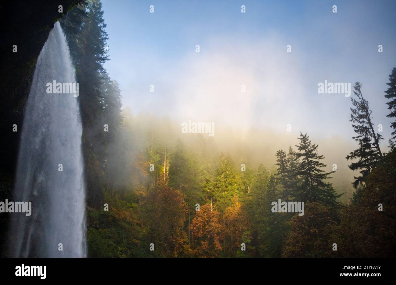 South Falls at Silver Falls State Park, the largest state park in ...