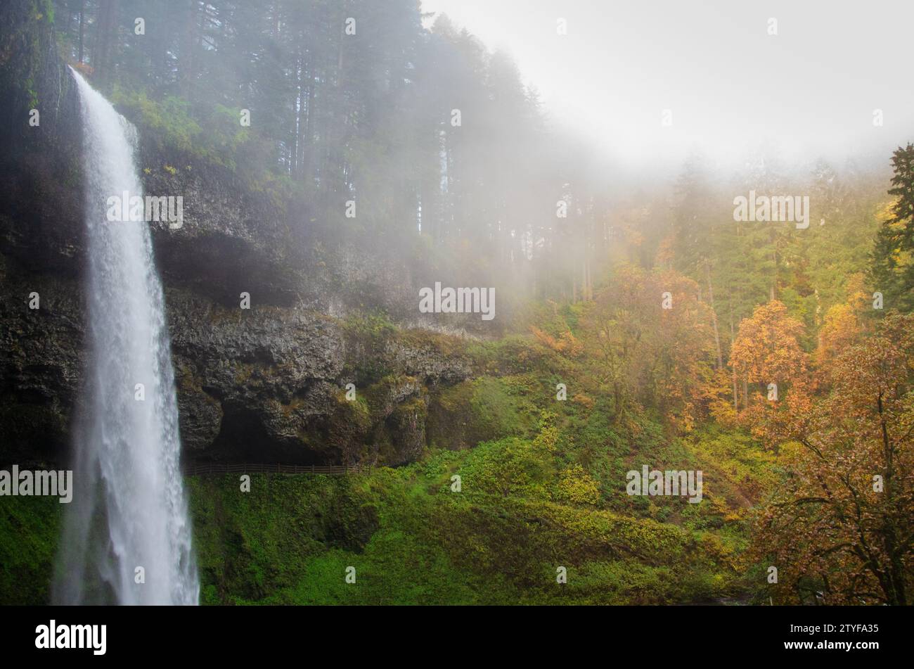South Falls at Silver Falls State Park, the largest state park in ...