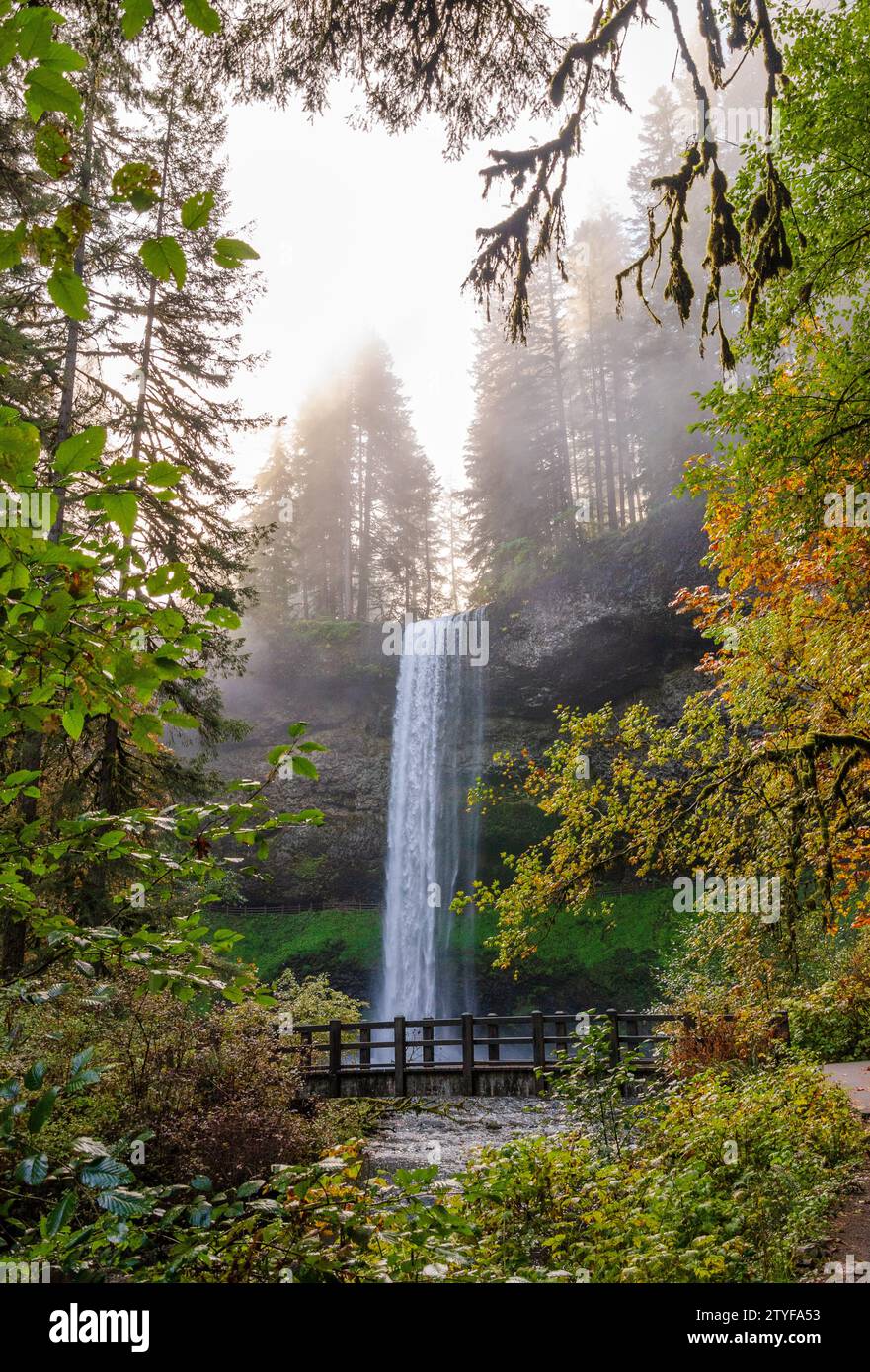 South Falls at Silver Falls State Park, the largest state park in ...