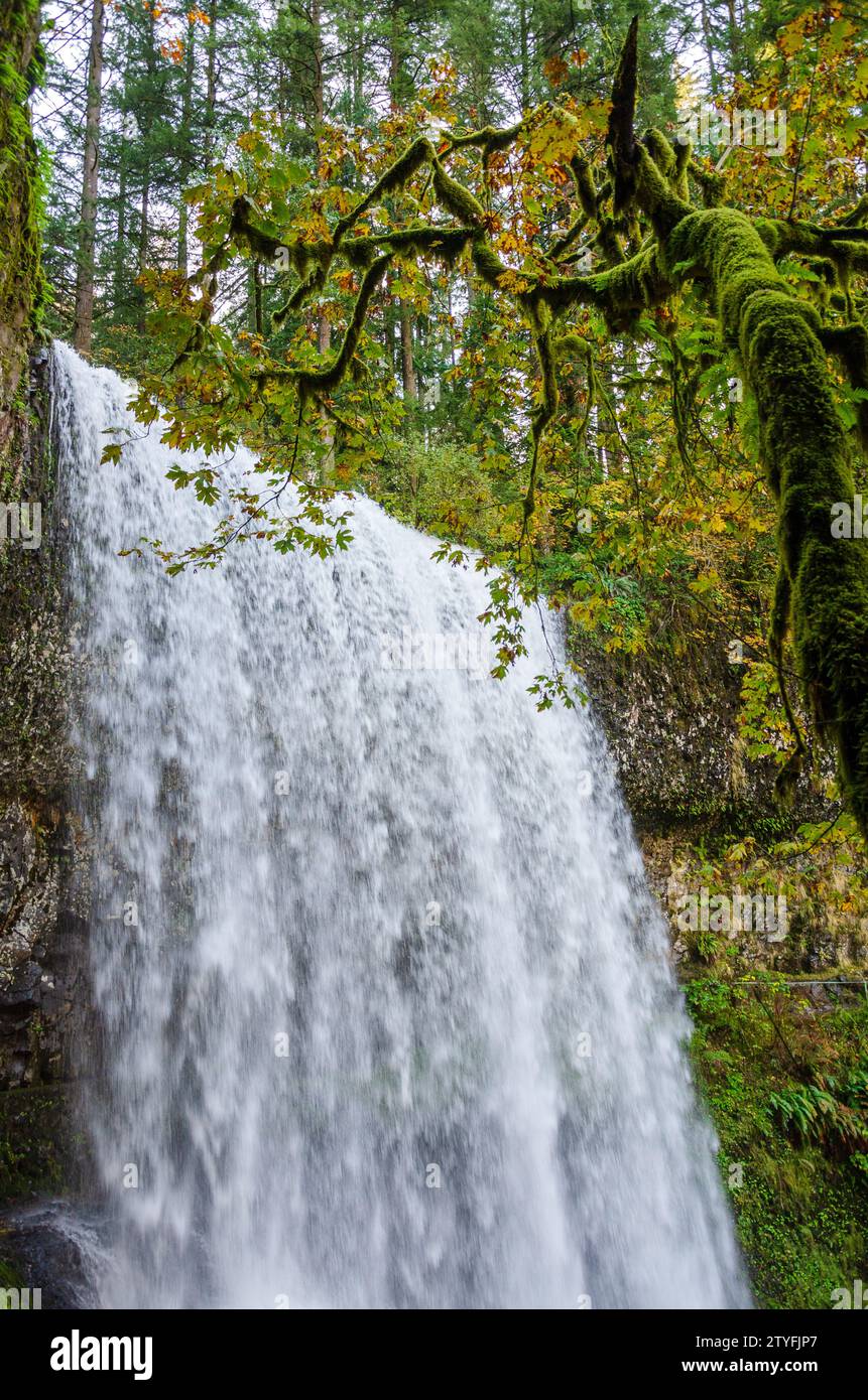 Lower South Falls at Silver Falls State Park, the largest state park in ...