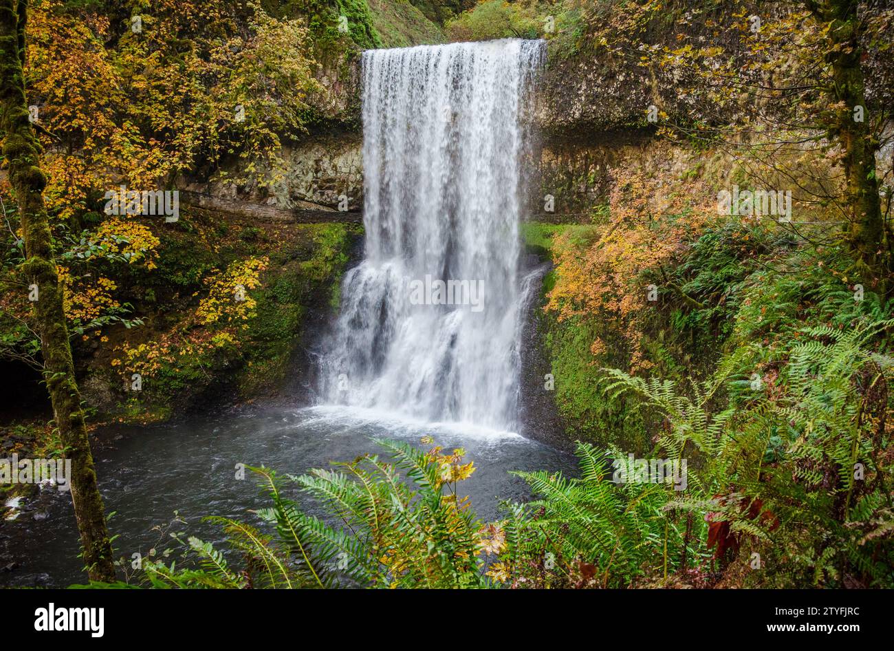 Lower South Falls at Silver Falls State Park, the largest state park in ...