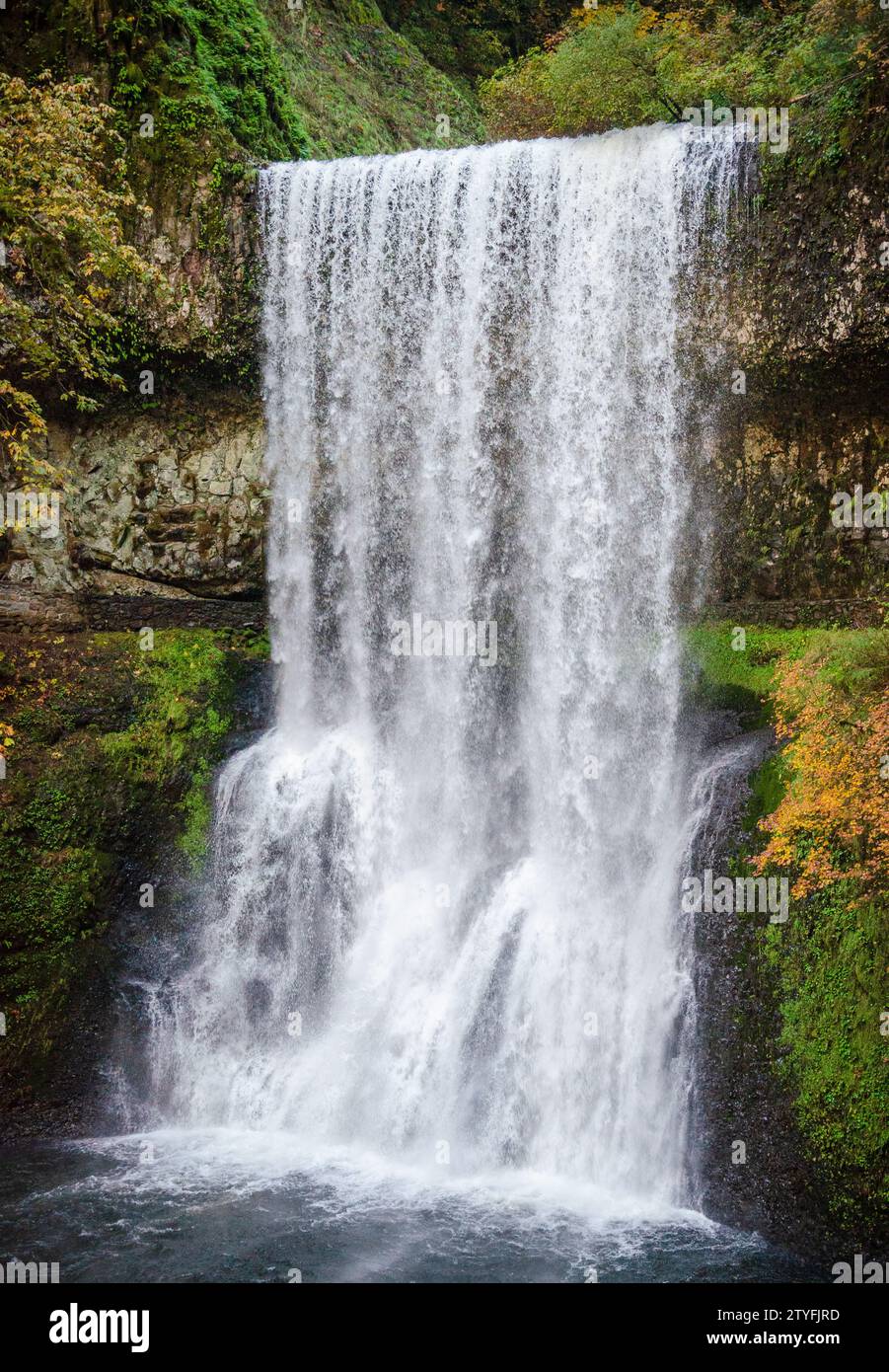 Lower South Falls at Silver Falls State Park, the largest state park in Oregon, USA Stock Photo ...