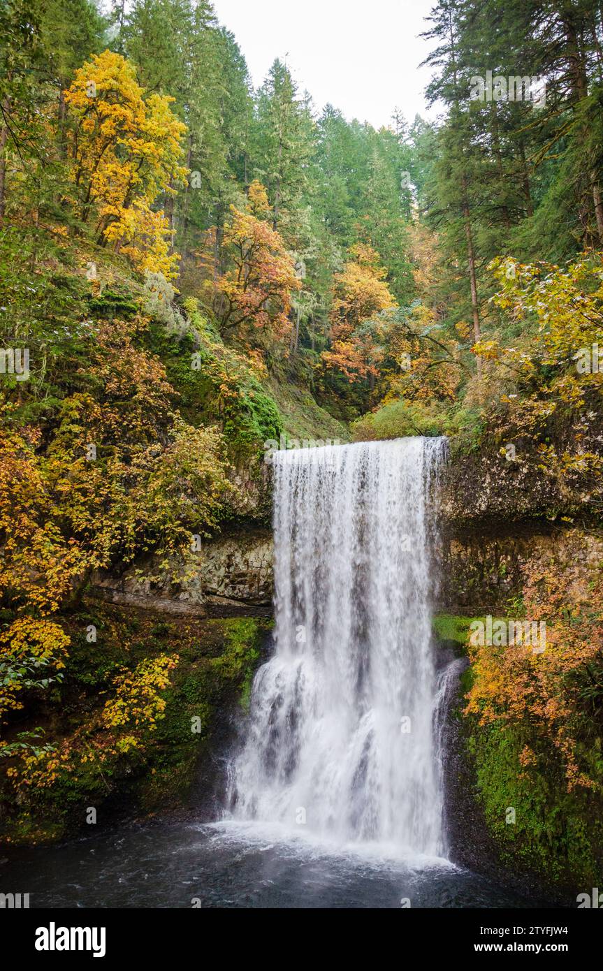 Lower South Falls at Silver Falls State Park, the largest state park in ...