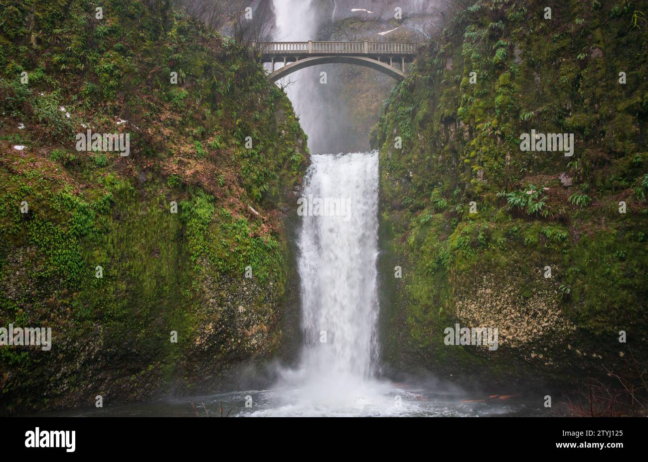 Multnomah Falls at Columbia River Gorge National Scenic Area, Oregon ...