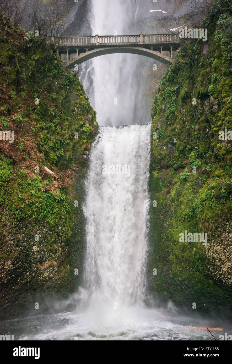 Multnomah Falls at Columbia River Gorge National Scenic Area, Oregon ...