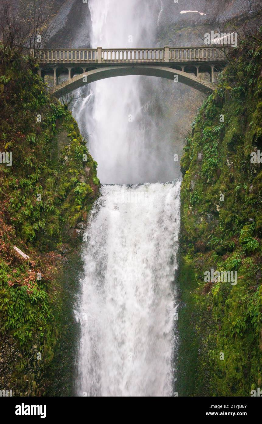 Multnomah Falls at Columbia River Gorge National Scenic Area, Oregon ...