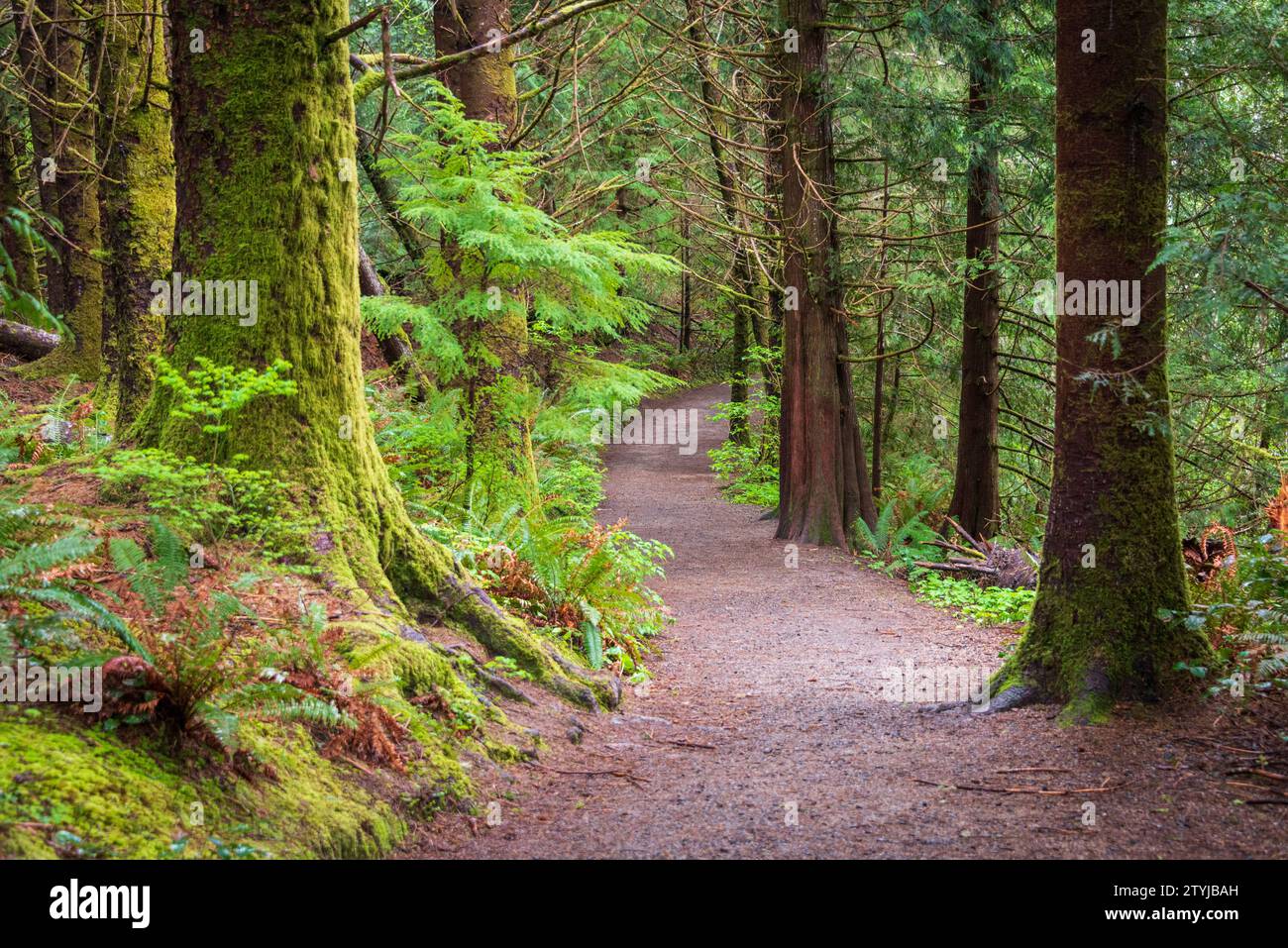 Fort to Sea Trail at Lewis and Clark National and State Historical ...