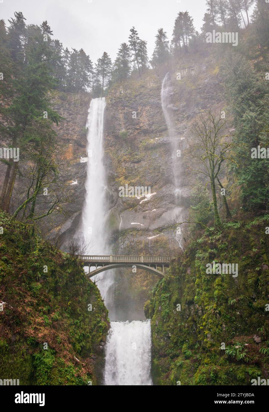 Multnomah Falls at Columbia River Gorge National Scenic Area, Oregon ...
