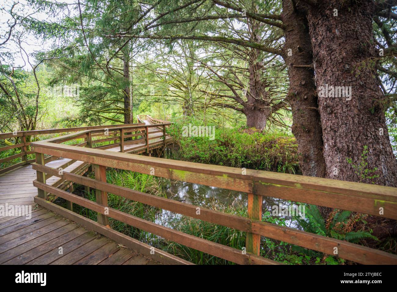 Fort to Sea Trail at Lewis and Clark National and State Historical ...