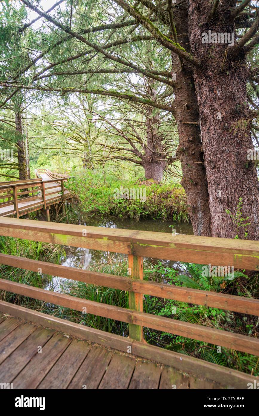 Fort to Sea Trail at Lewis and Clark National and State Historical ...