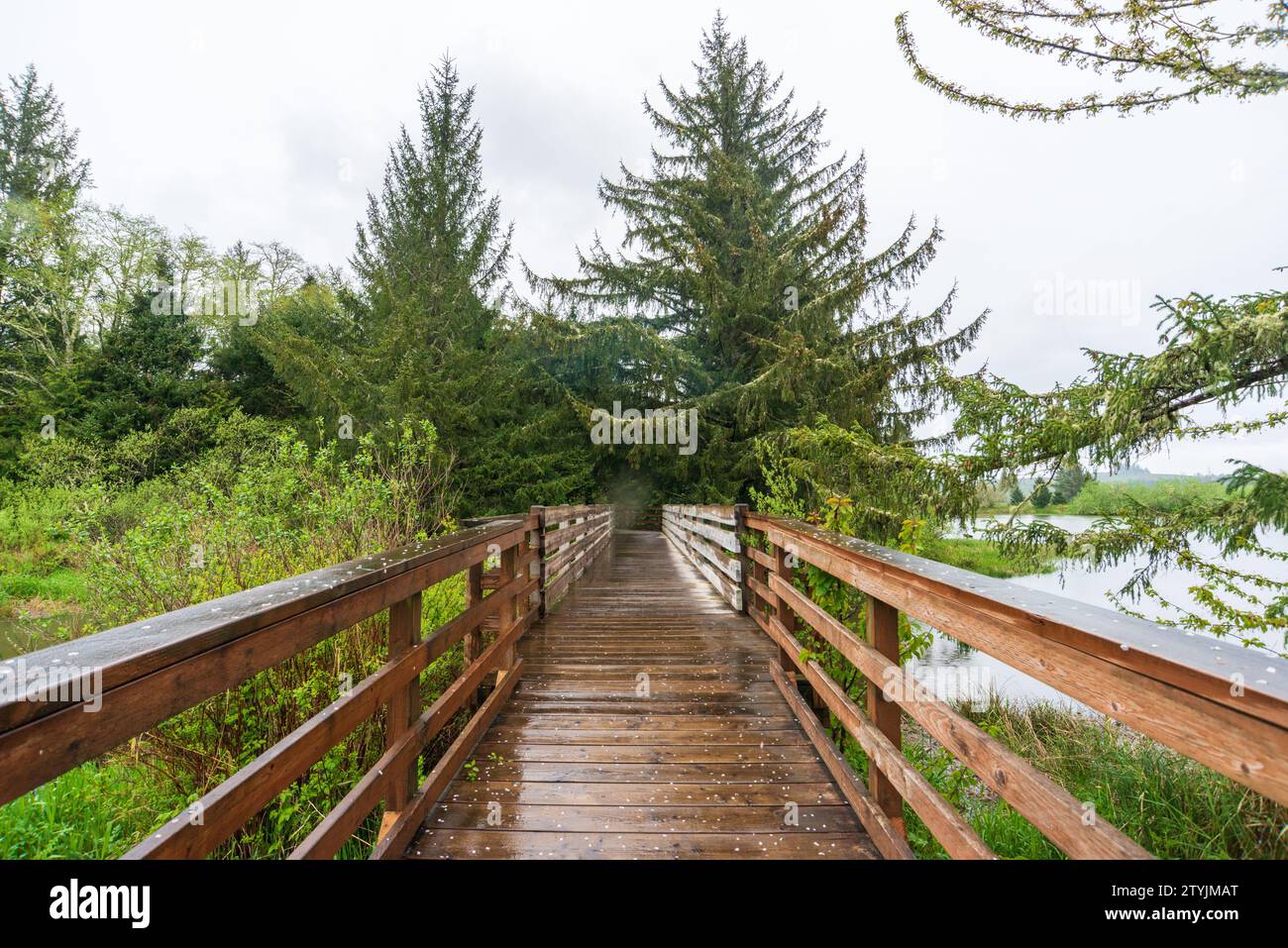 Fort to Sea Trail at Lewis and Clark National and State Historical ...