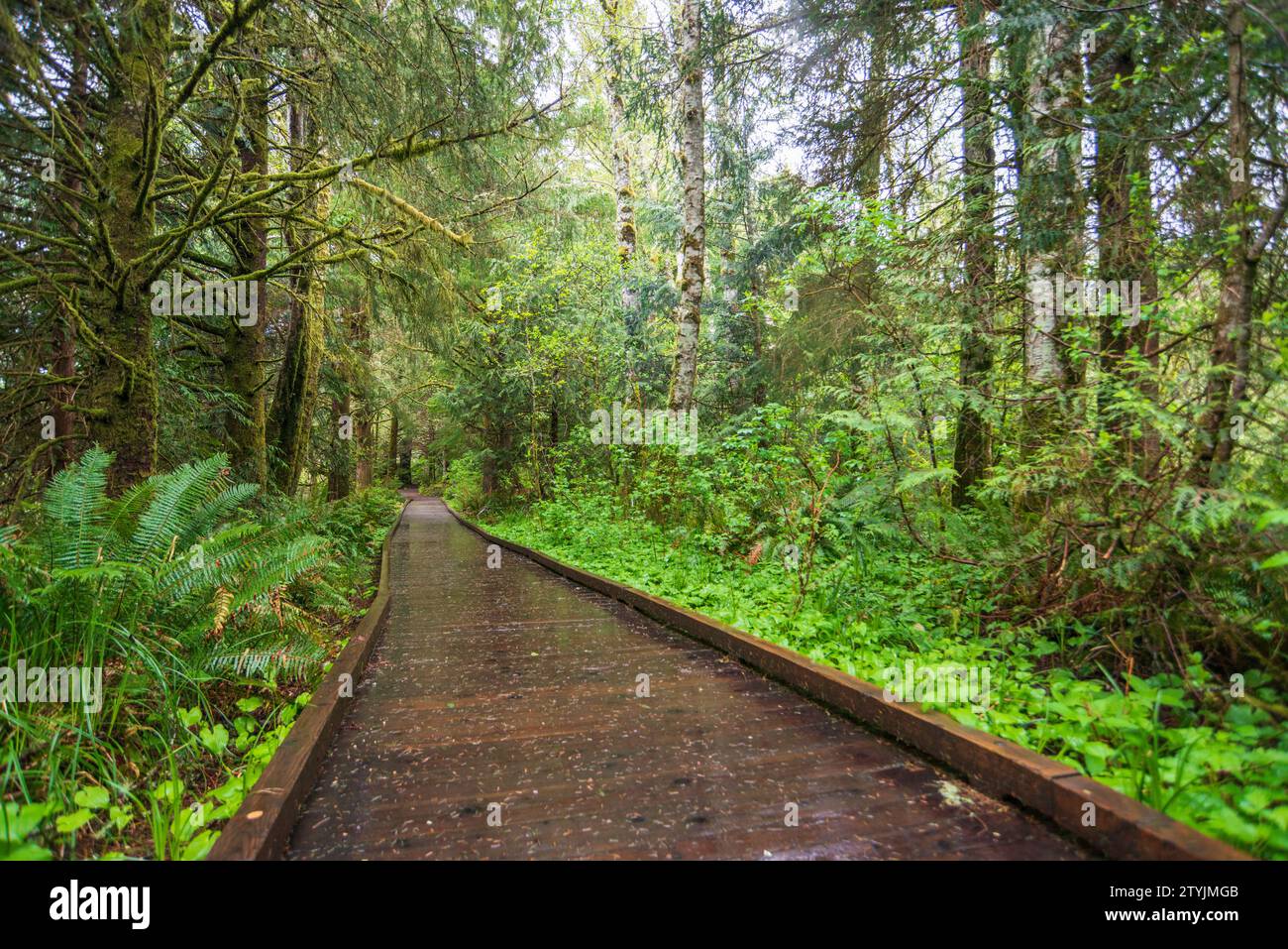 Oregon trail artifacts hi-res stock photography and images - Alamy