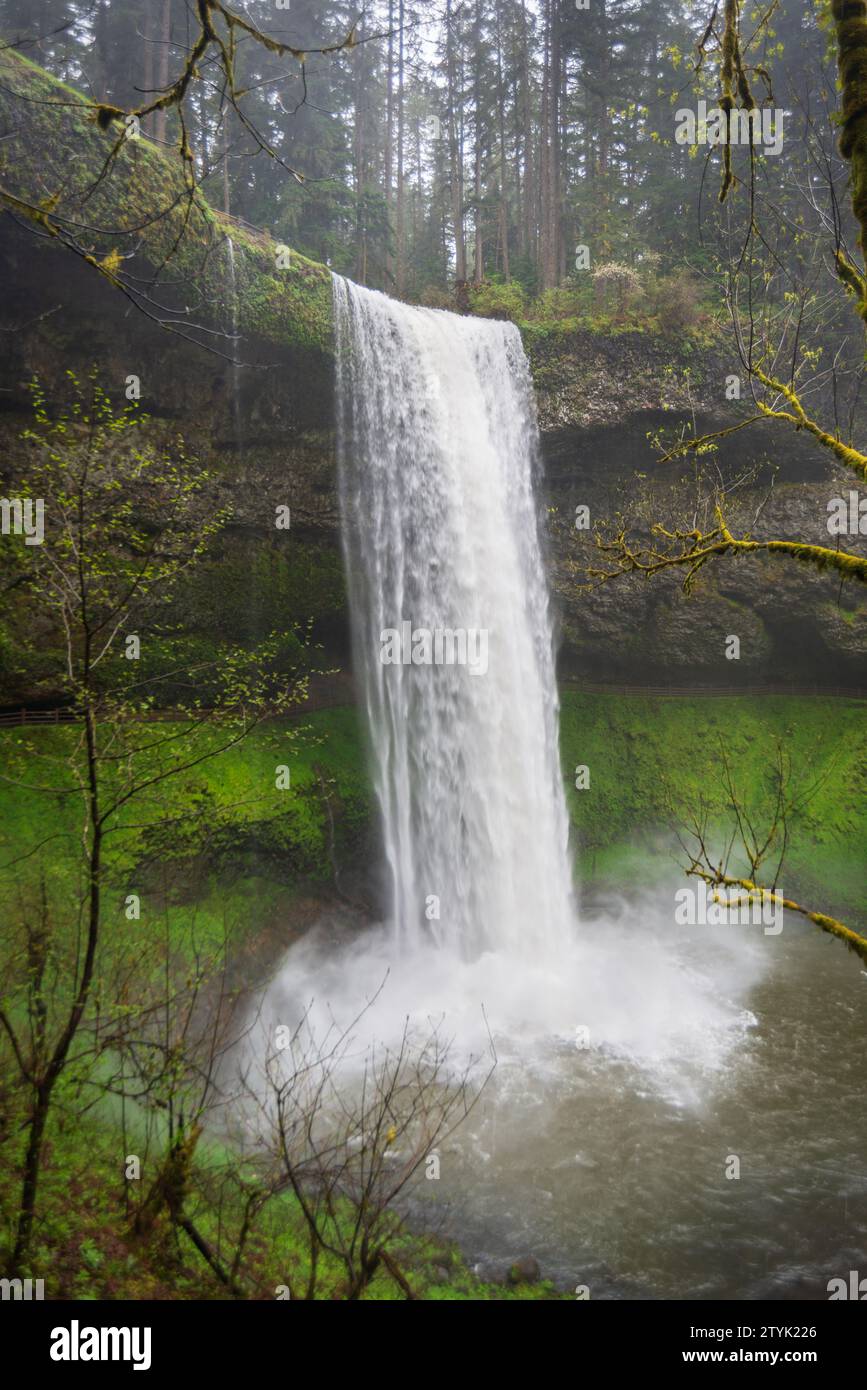 South Falls at Silver Falls State Park, the largest state park in ...