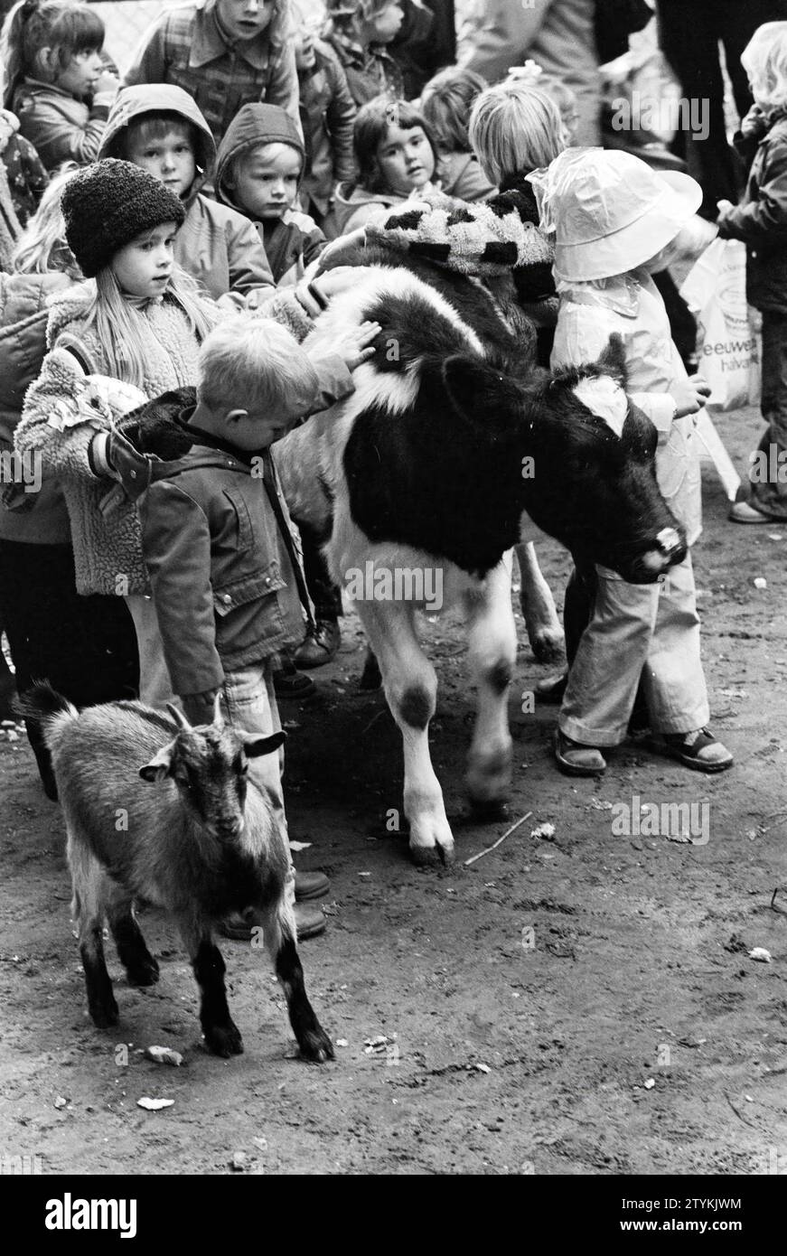 Animal Day, Velserbeek, Animals, 04-10-1975, Whizgle News from the Past ...
