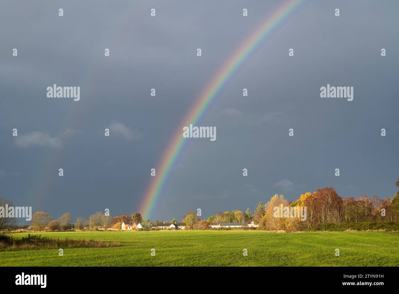 Rainbow dark sky trees hi-res stock photography and images - Alamy