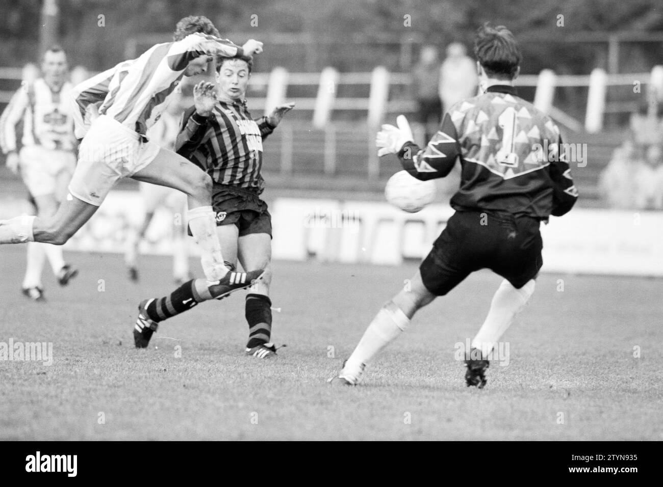 Edo aalsmeer hi-res stock photography and images - Alamy