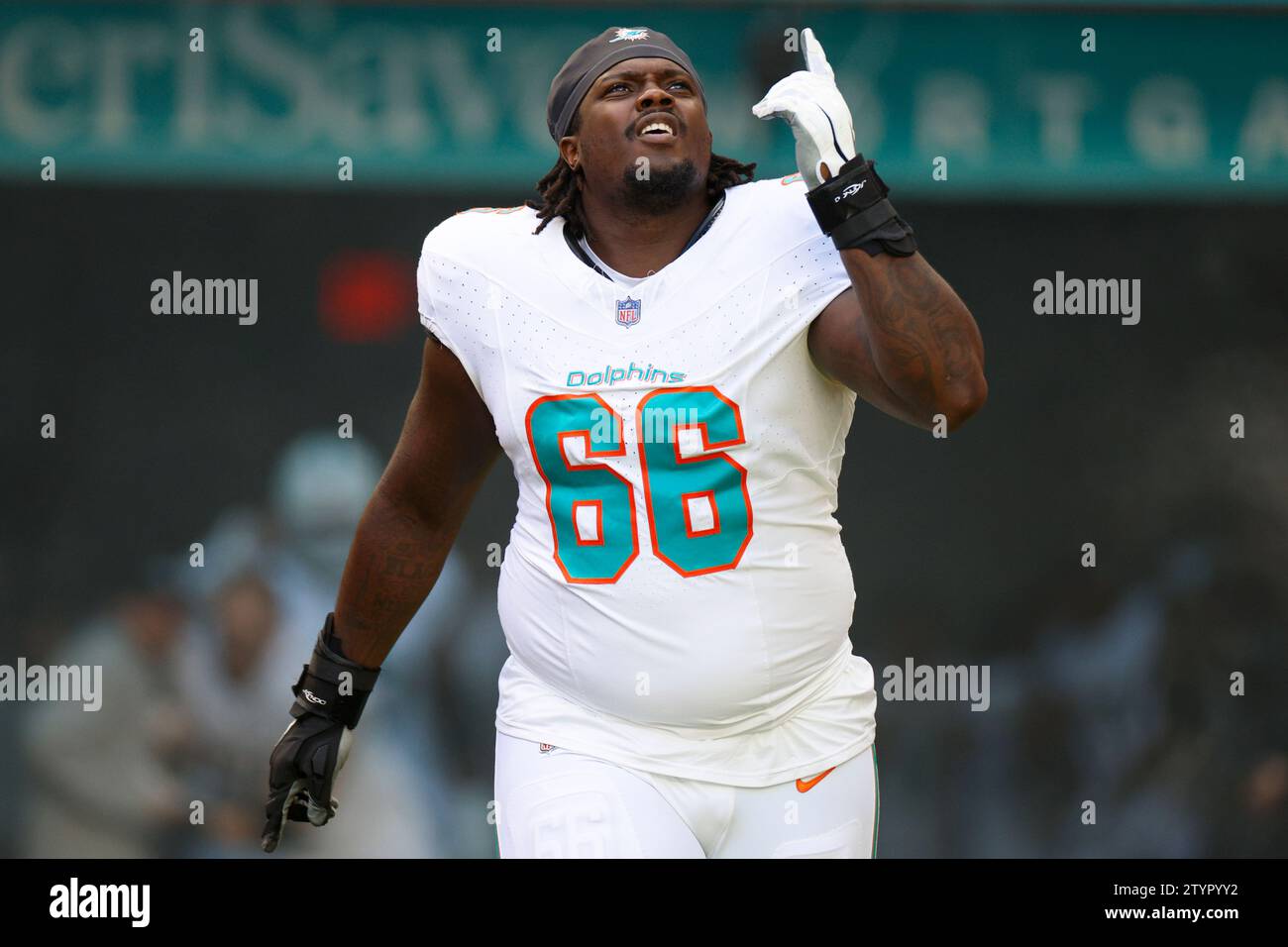 Lester cotton dolphins hi-res stock photography and images - Alamy