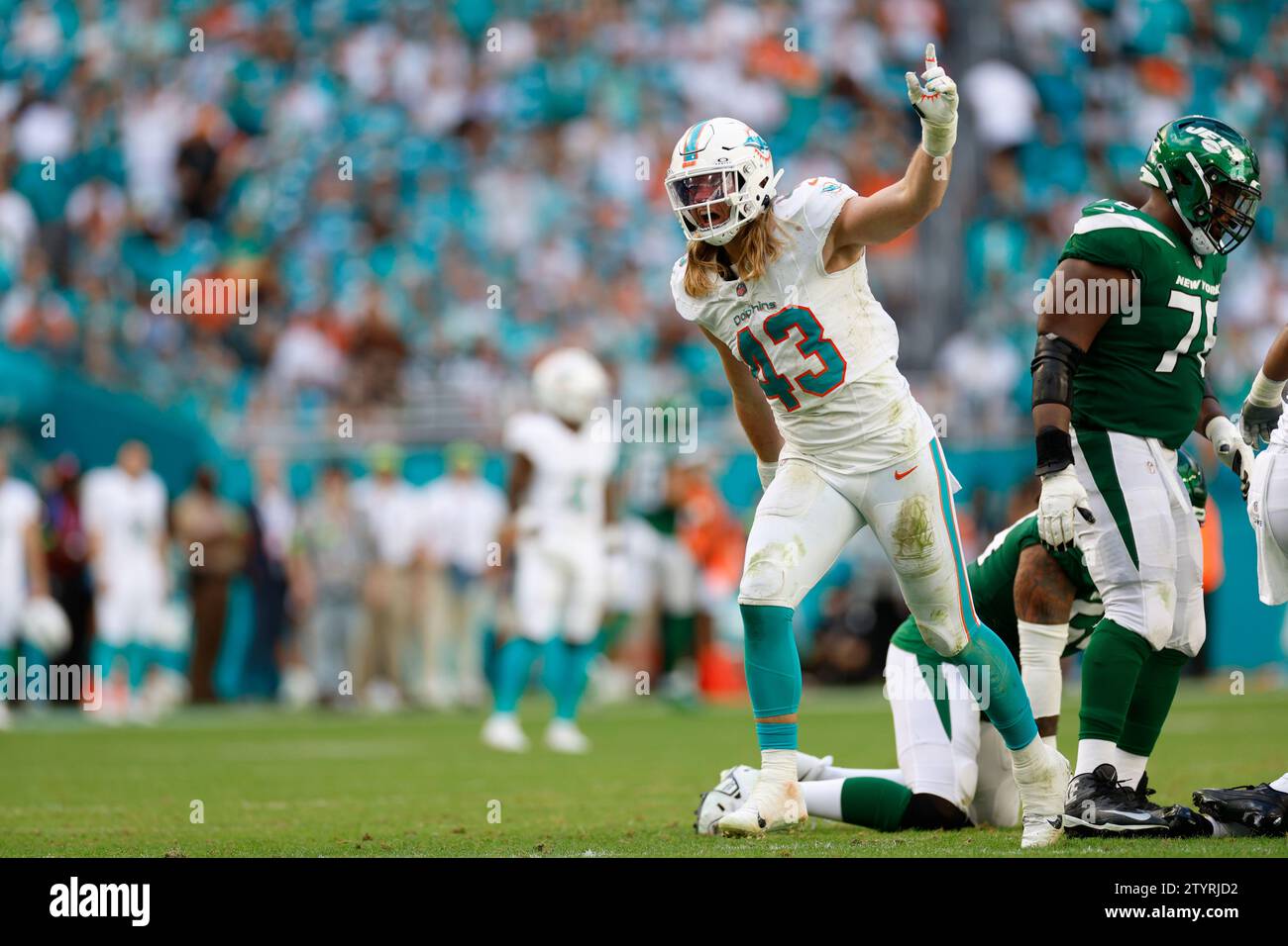 Miami Dolphins linebacker Andrew Van Ginkel (43) celebrates during an ...
