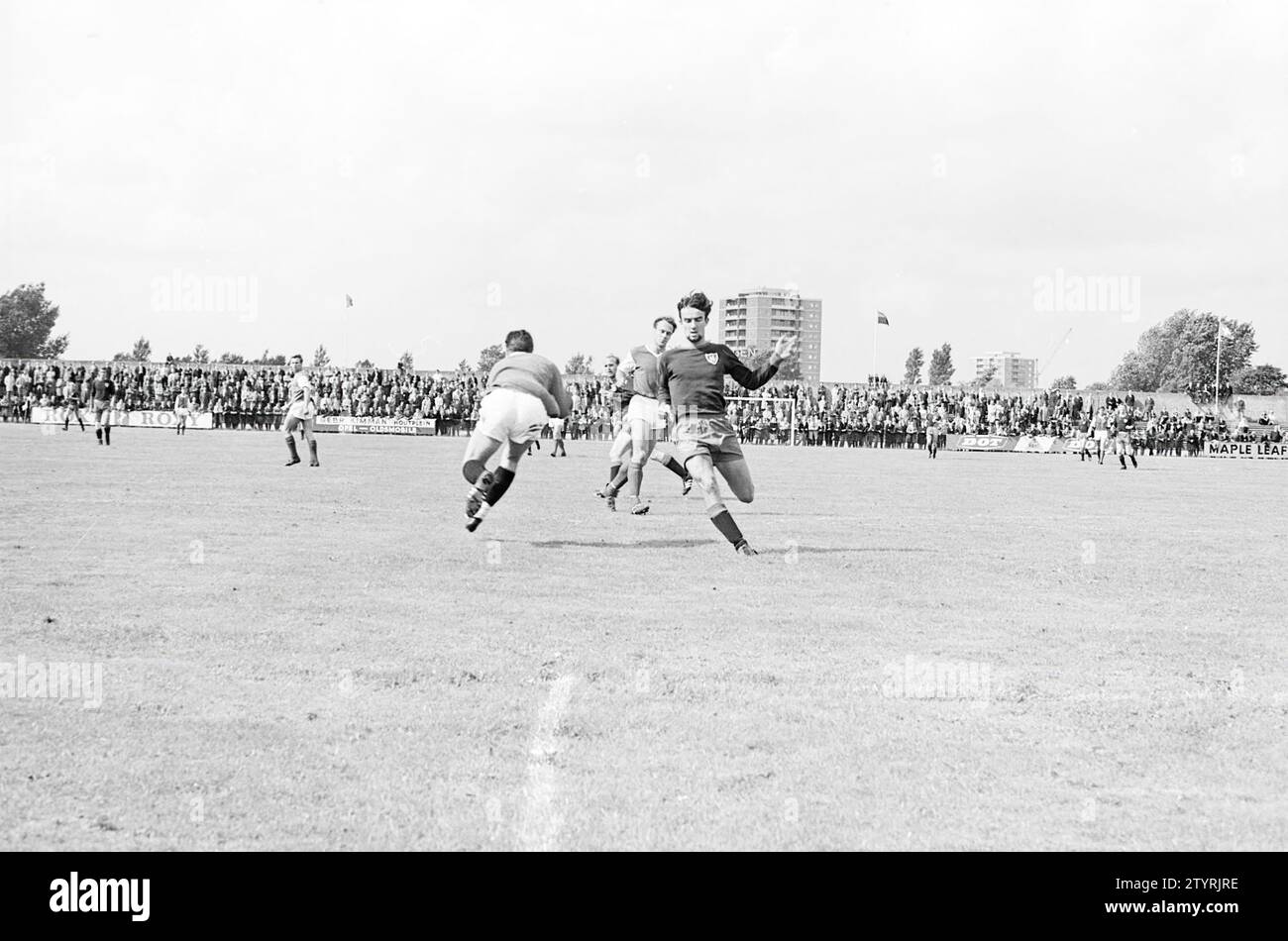 Hfc haarlem stadium hi-res stock photography and images - Alamy