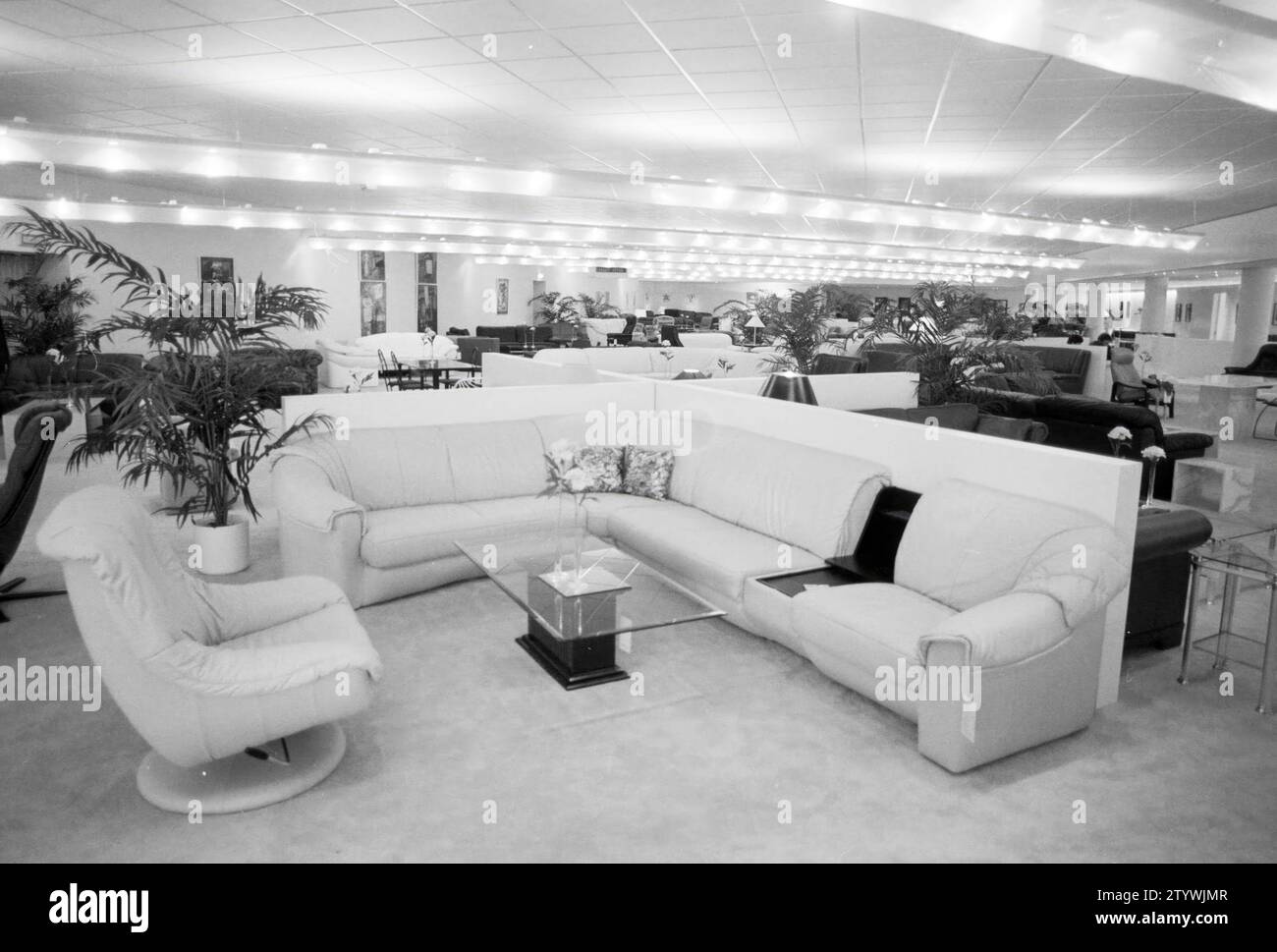 Linea nova hi-res stock photography and images - Alamy