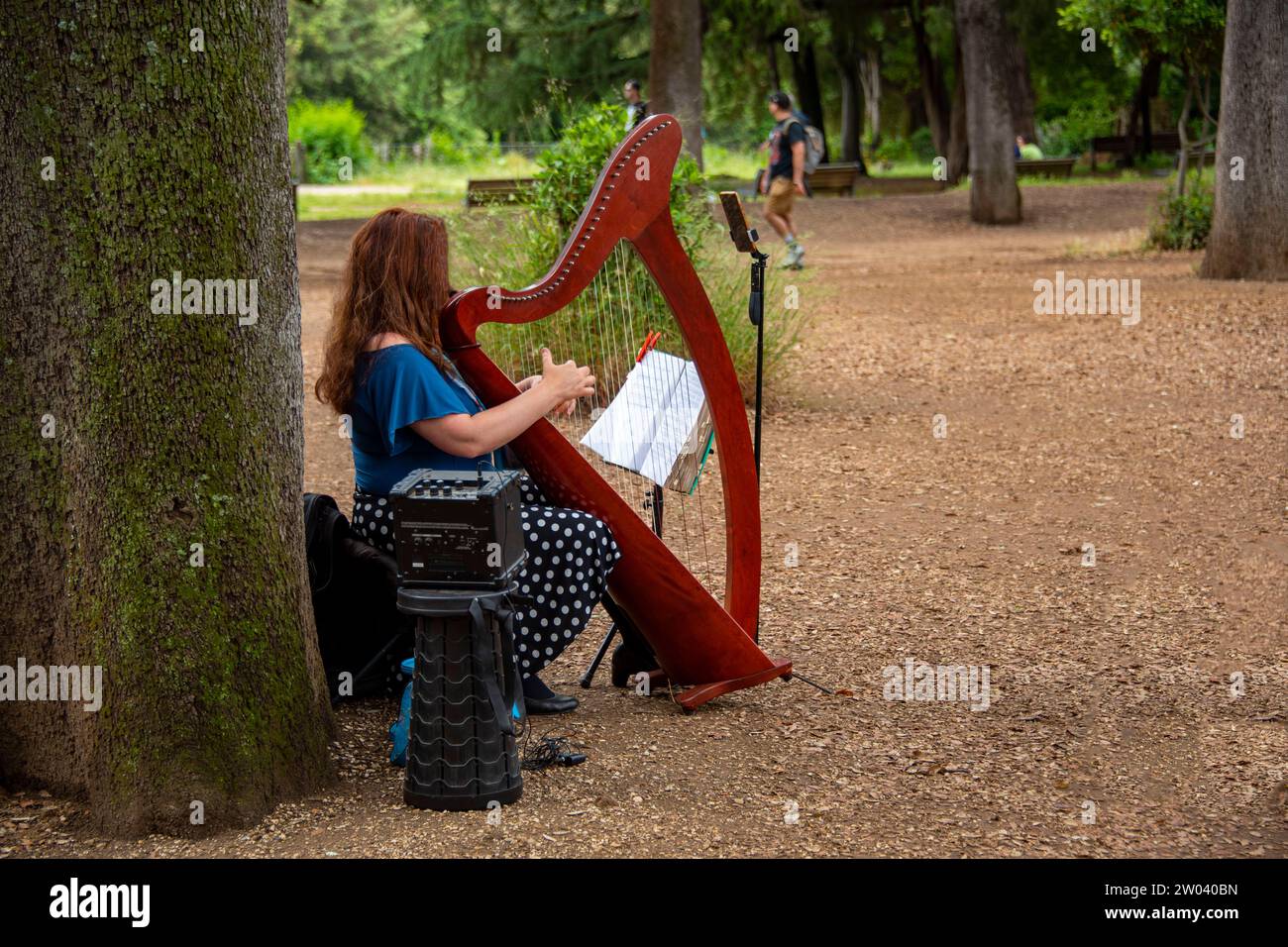 Harp Musician in the Park Stock Photo - Alamy
