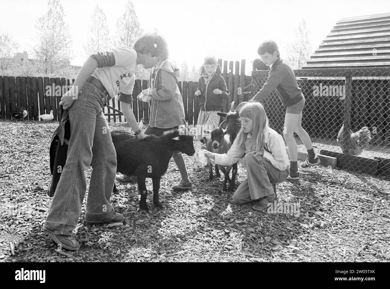 Opening petting zoo, Nieuw Vennep, Petting zoo, Opening, openings ...