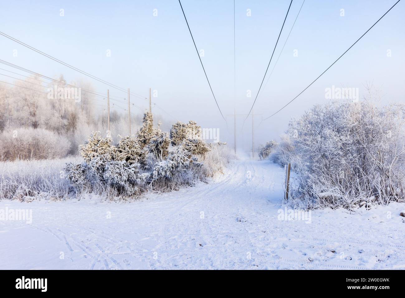Hiking trail under a power line in winter Stock Photo - Alamy