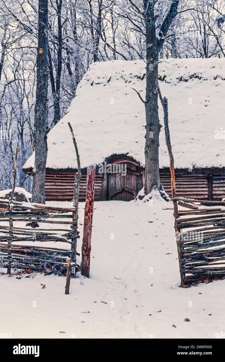Longhouse in a forest a cold snowy day Stock Photo - Alamy