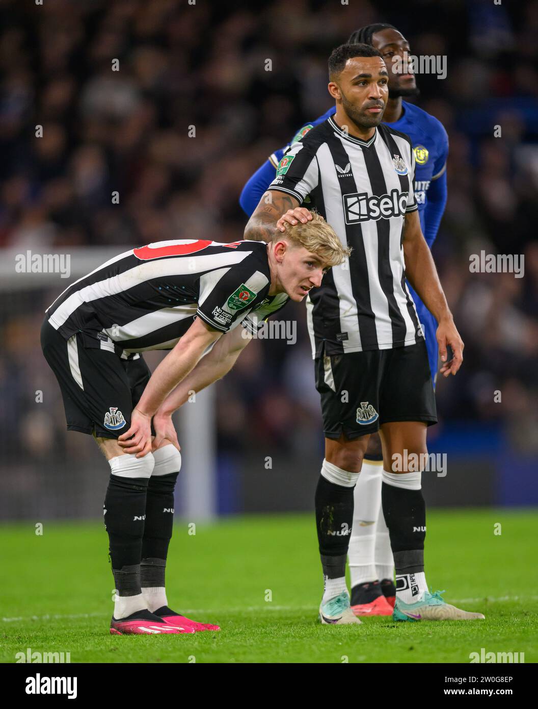 Anthony gordon chelsea hi-res stock photography and images - Alamy