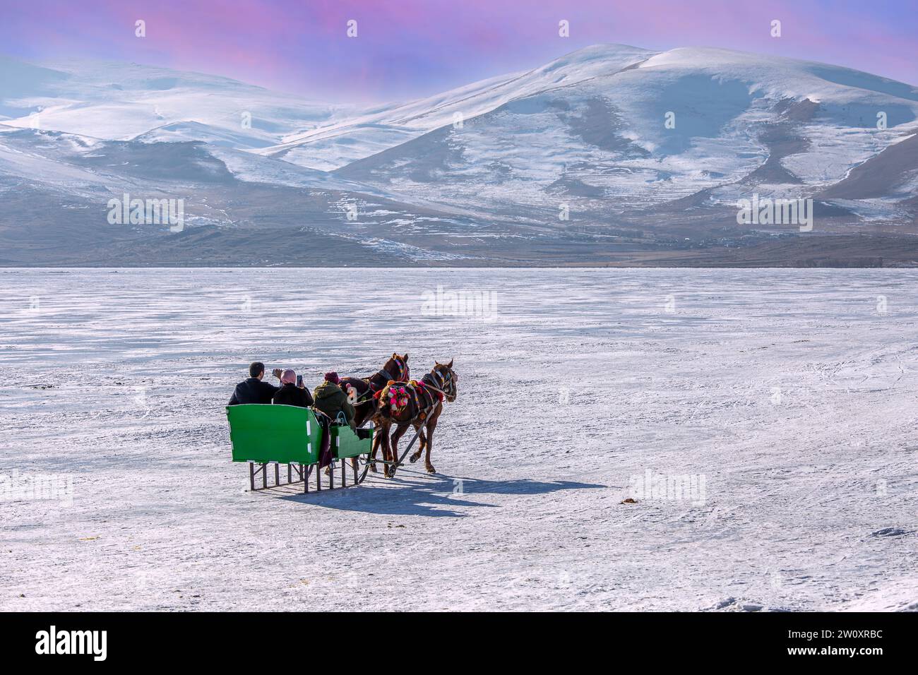 Sleigh pulled by a horse in lake frozen Cildir. Traditional Turkish ...