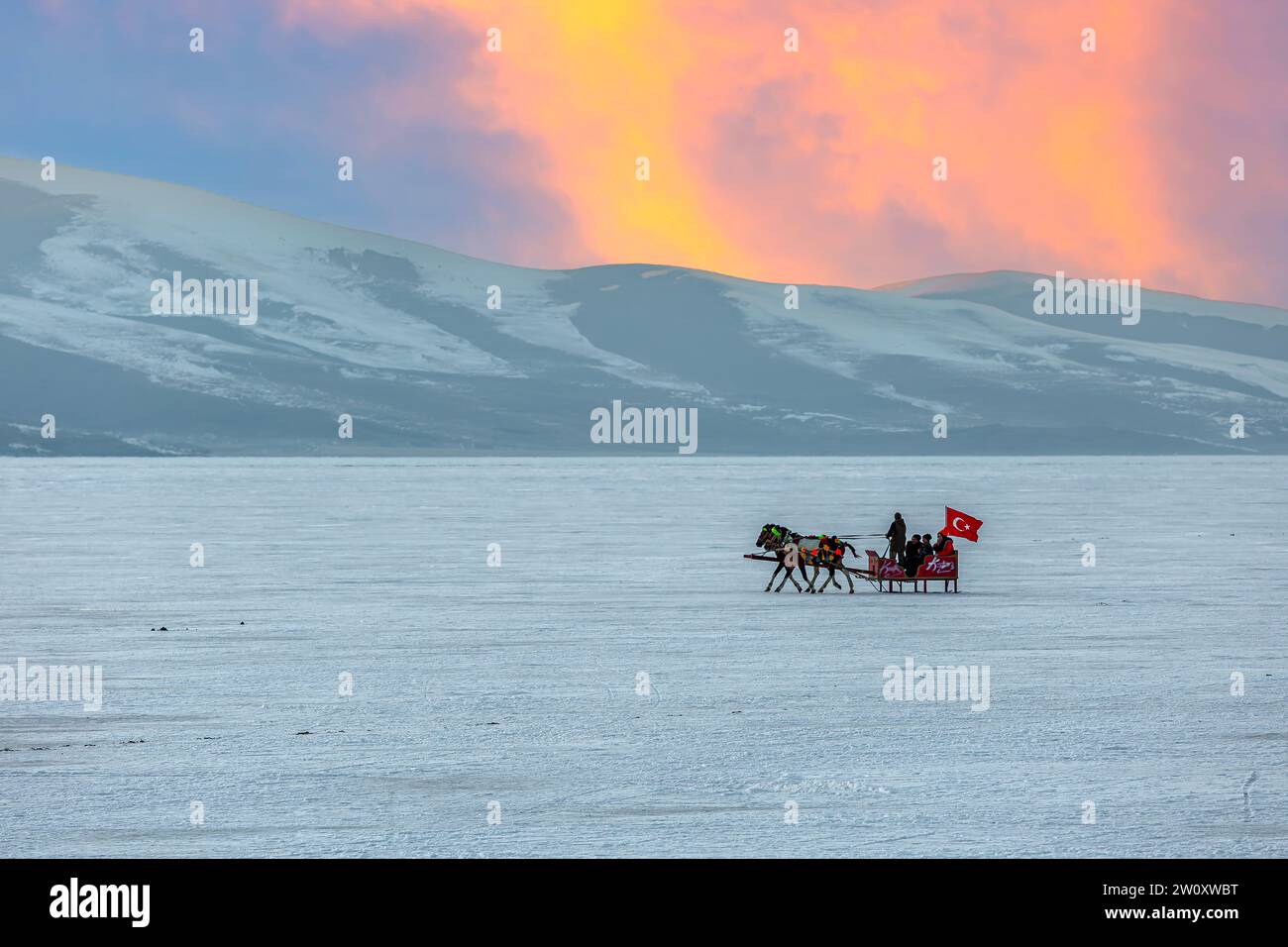 Sleigh pulled by a horse in lake frozen Cildir. Traditional Turkish ...