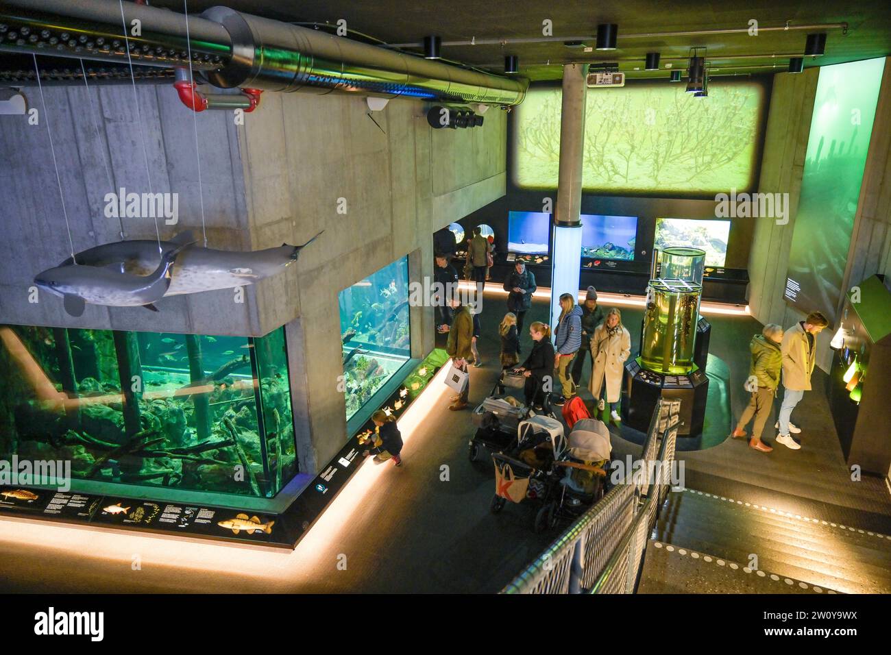 Aquarium, Baltic Sea Science Center, Freilichtmuseum Skansen ...