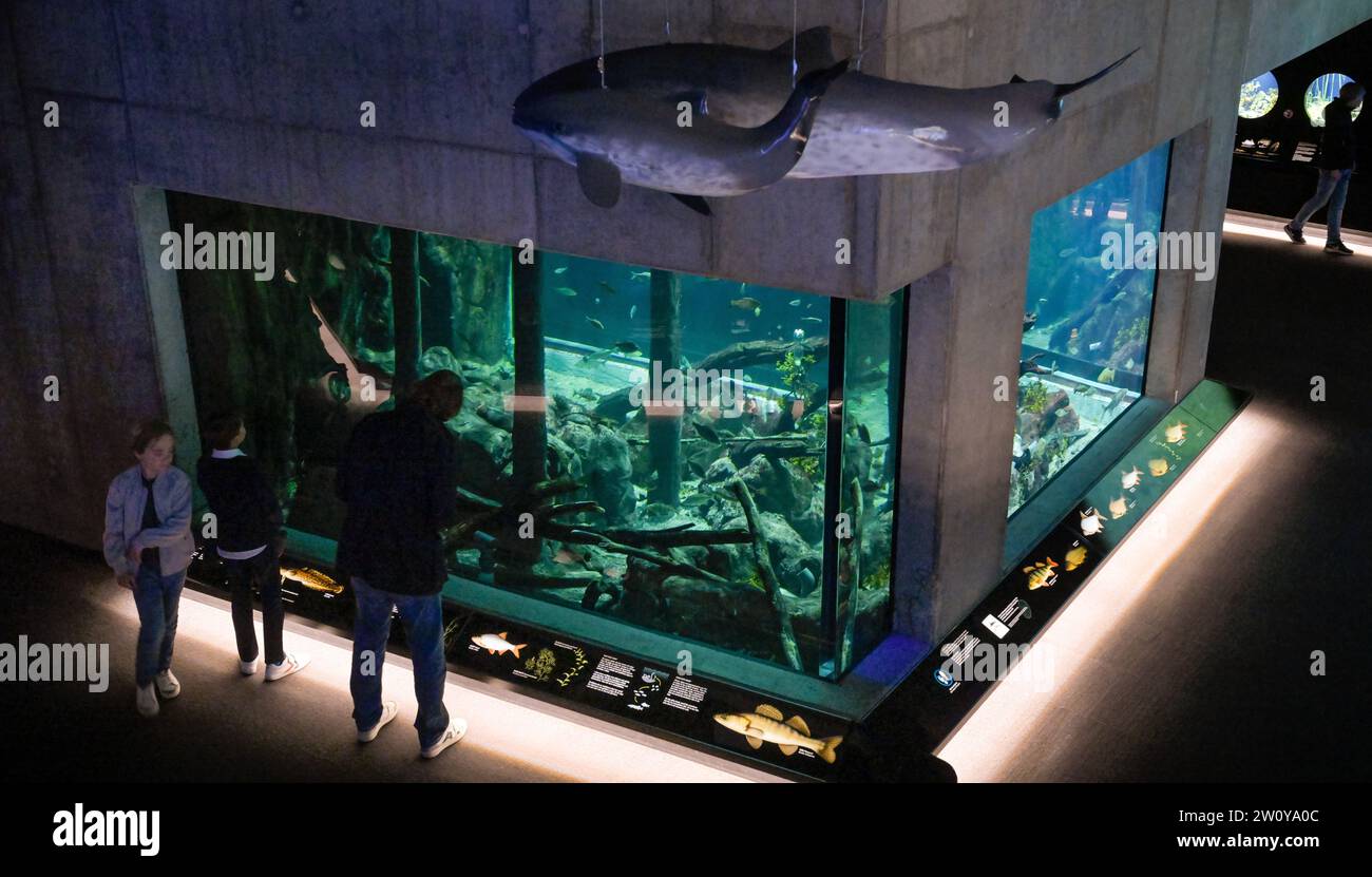 Aquarium, Baltic Sea Science Center, Freilichtmuseum Skansen ...