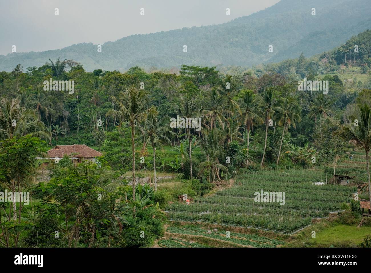 Expansive landscape unfolds hi-res stock photography and images - Alamy