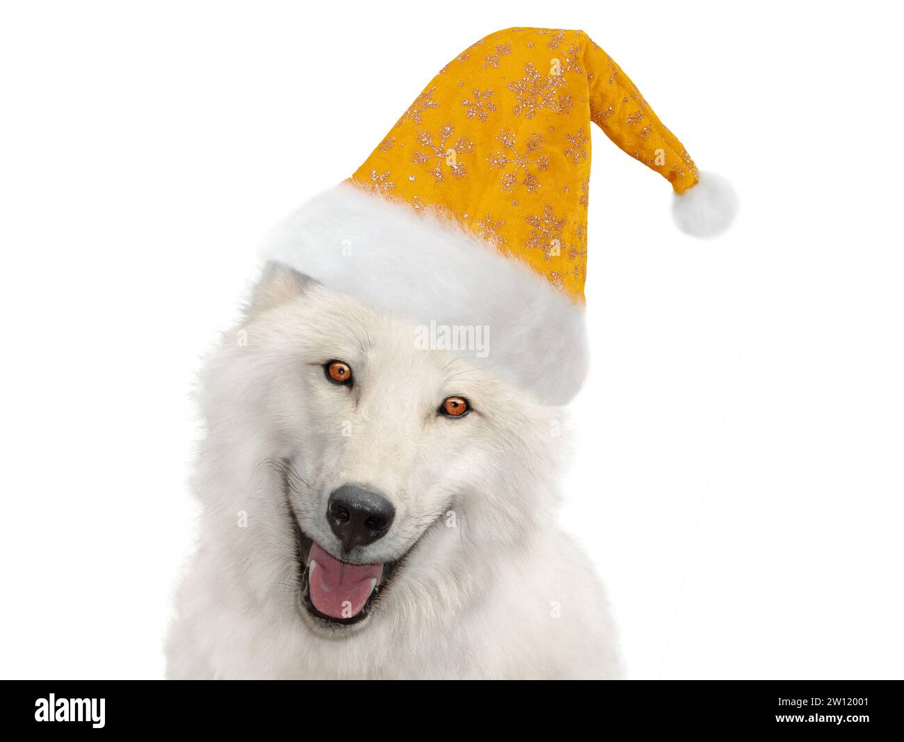 white wolf in santa claus hat isolated on white background Stock Photo ...
