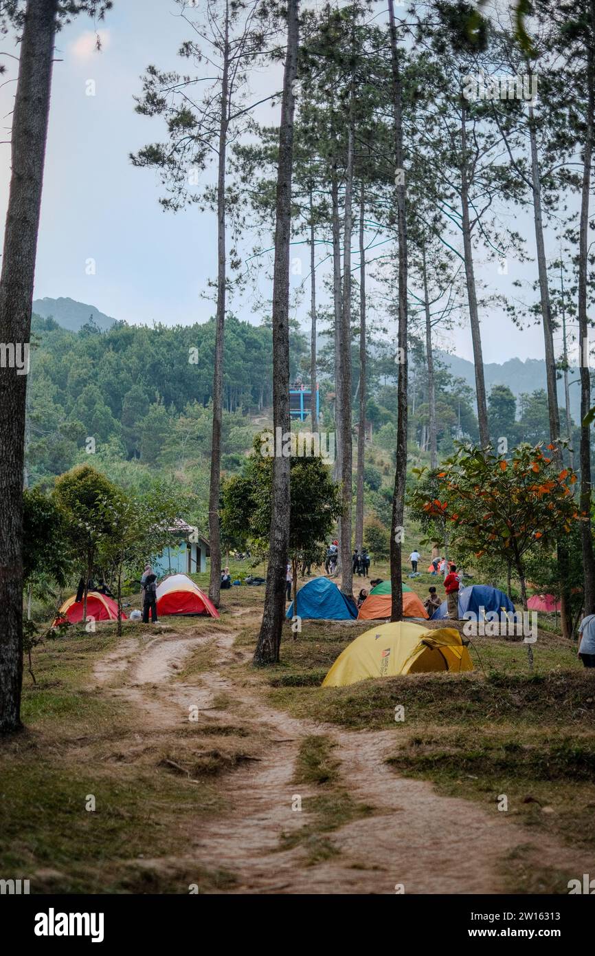 Explore the beauty of a forest camp in Indonesia, where colorful tents ...