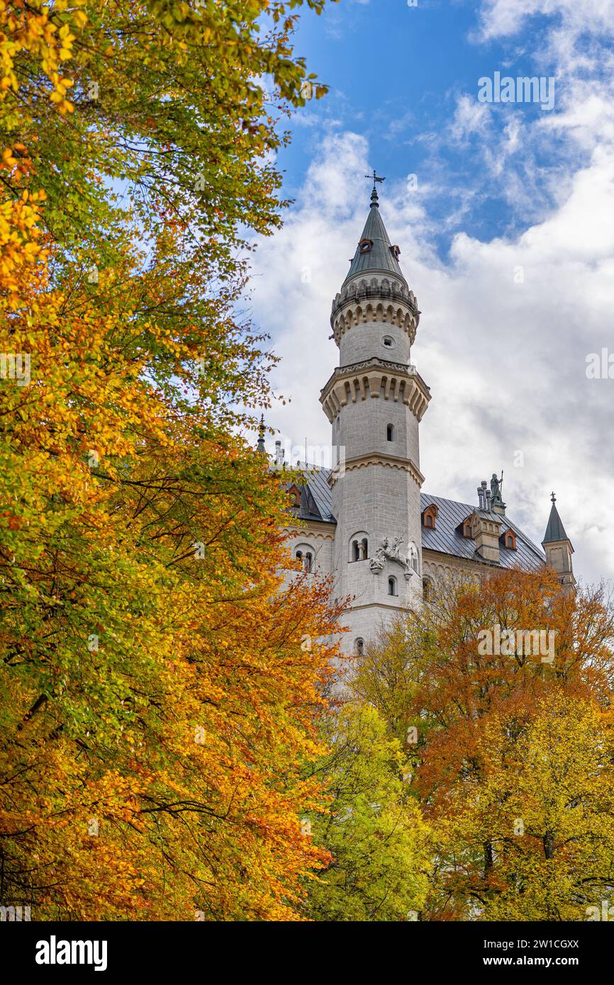 Neuschwanstein castle mountain autumn hi-res stock photography and ...