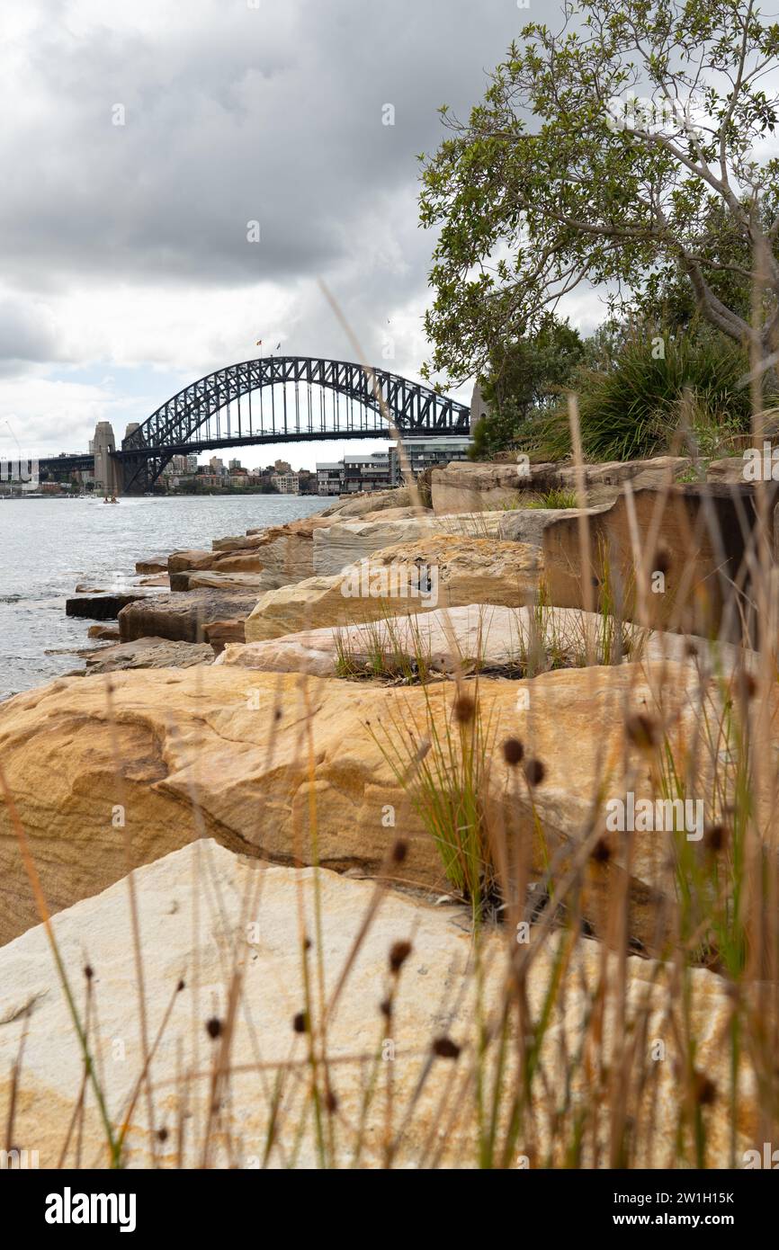 Barangaroo Reserve view to the Sydney Harbour Bridge, along artificial ...