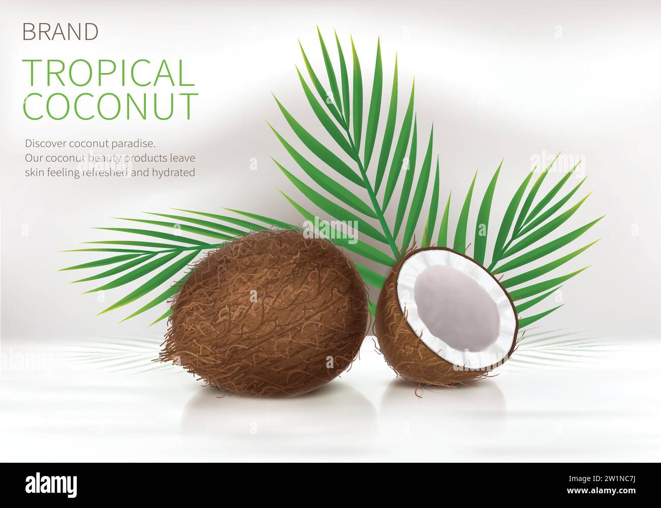 Tropical coconut realistic vector, whole and broken half coco nut and ...