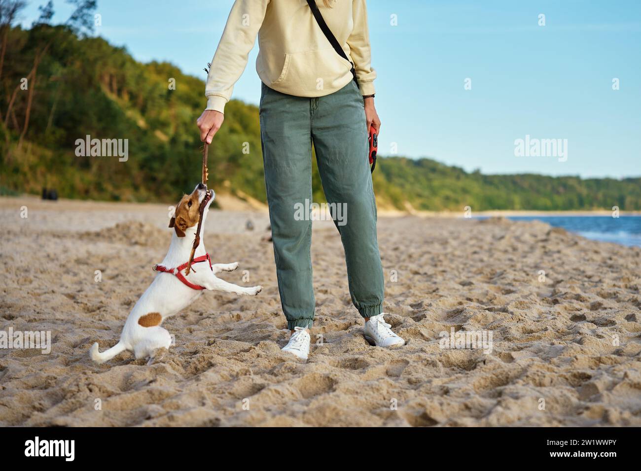 Woman and active dog have fun at sand sea beach. Female owner walking ...